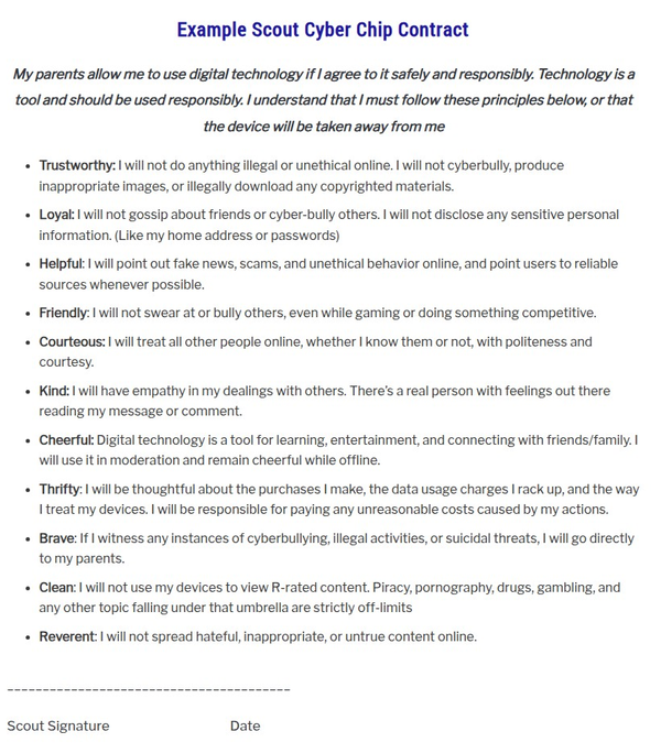 Boy Scouts of America (BSA) Cyber Chip